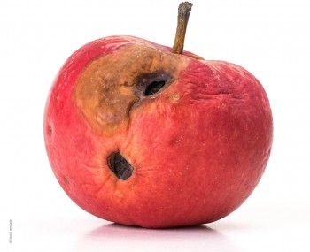 Safety Clip: Der klassische Schadenfall „Dekubitus“ - BDC|Online